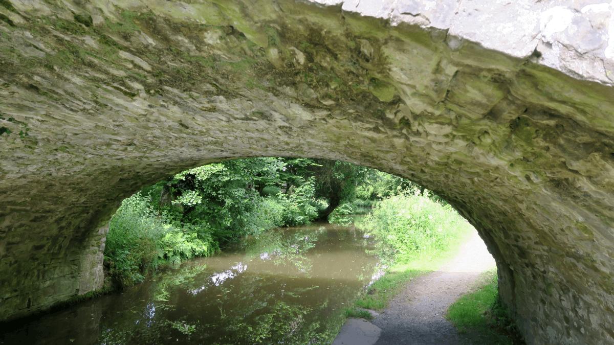 Pencelli | Wiedekamm Elmshorn